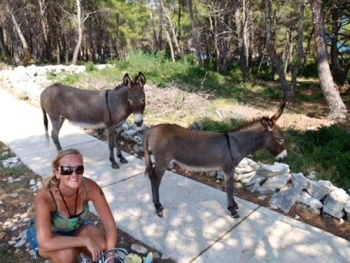 About Chasing the Donkey | Chasing the Donkey Travel Blog