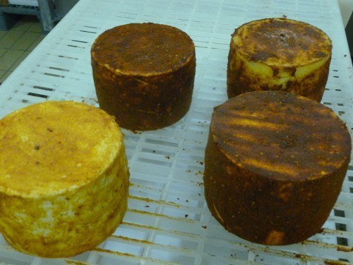 Pag Island and Sampling Heavenly Cheeses {Paški Sir}