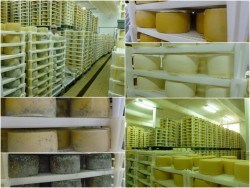 Pag Island and Sampling Heavenly Cheeses {Paški Sir}