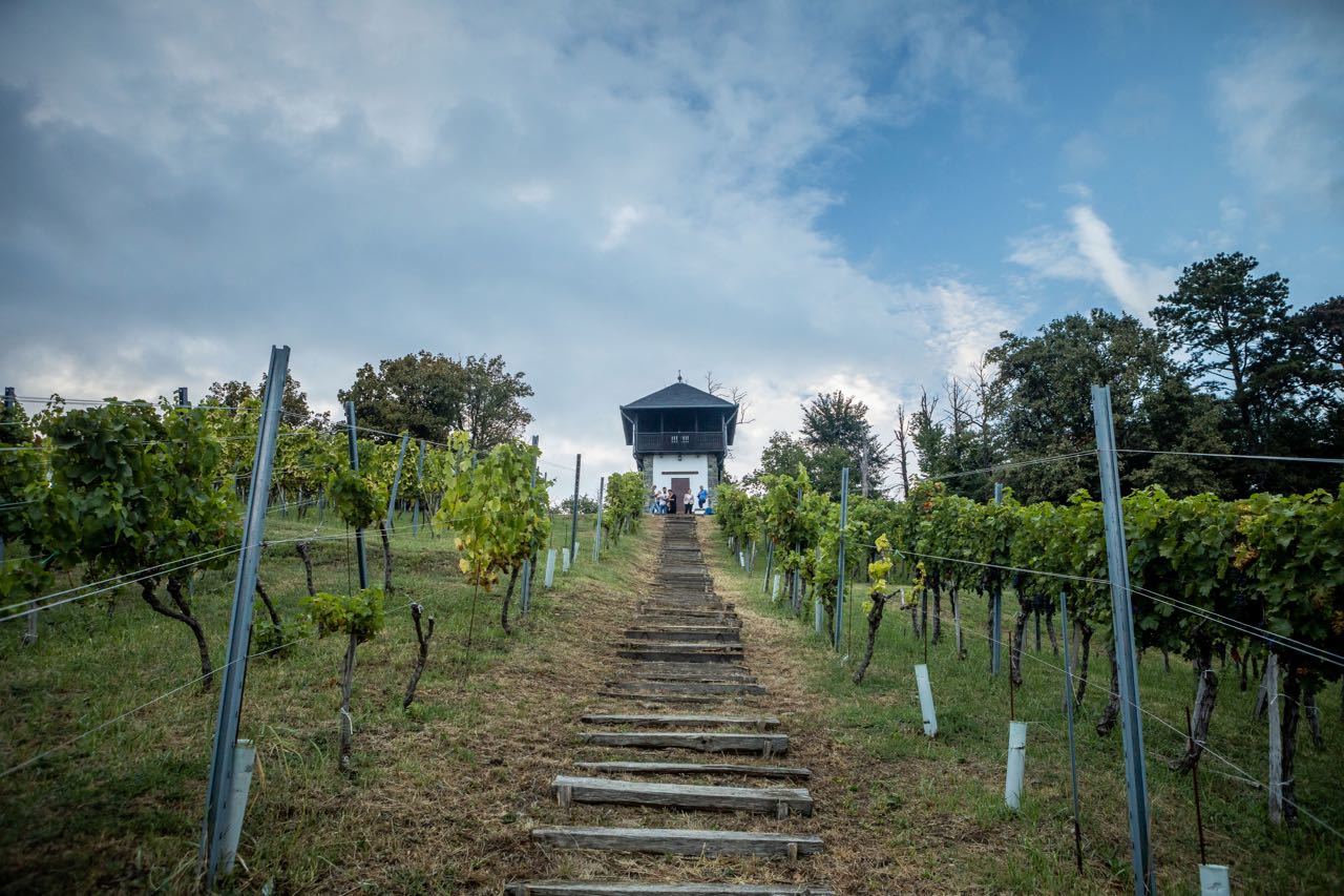 Things To Do In Slavonia Croatia