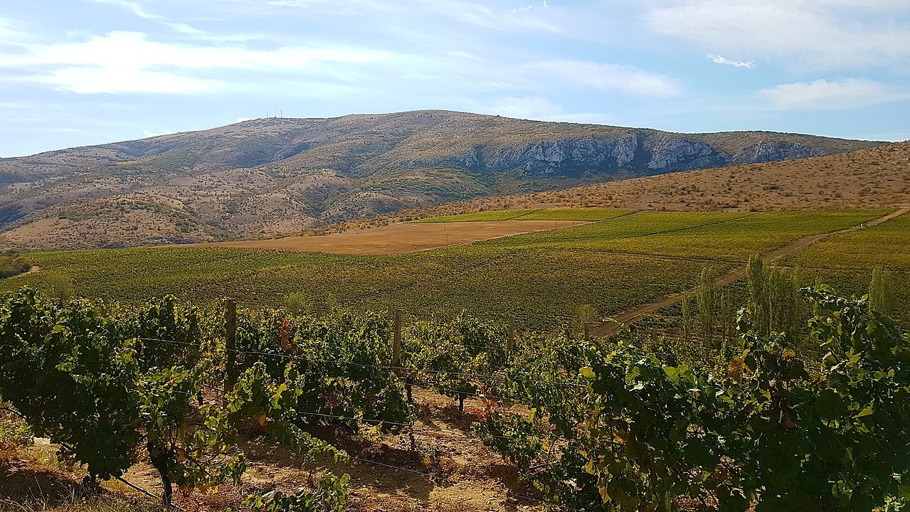 All You Need To Know About Macedonian Wine | Chasing the Donkey