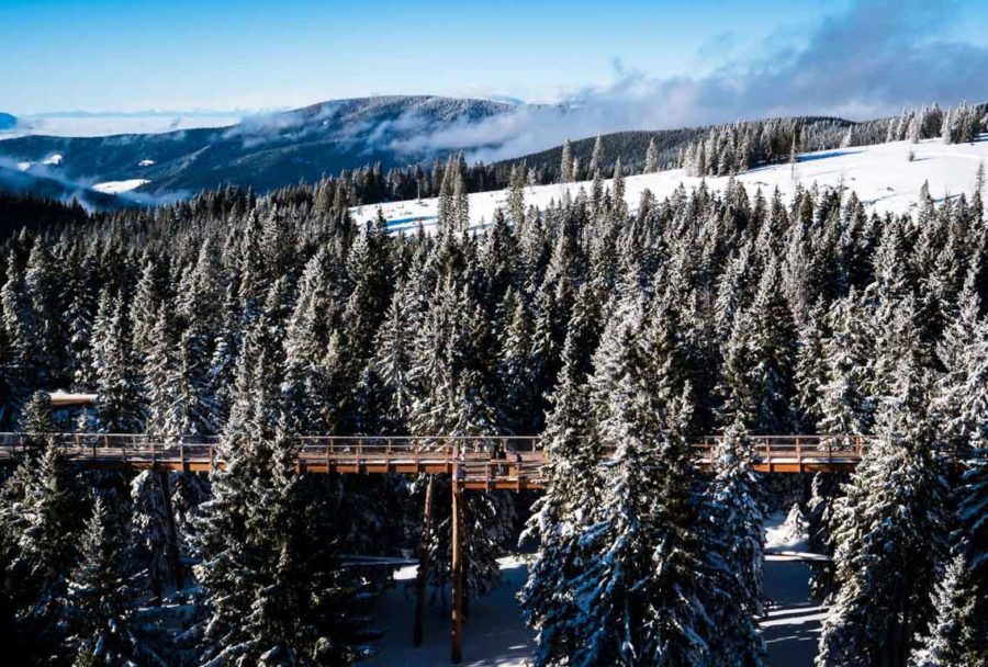10 Best Things to Do in Rogla, Slovenia | Chasing the Donkey