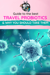 Guide To The Best Probiotics For Travel | Chasing the Donkey