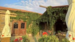 Secluded & Quiet Islands In Greece | Chasing the Donkey