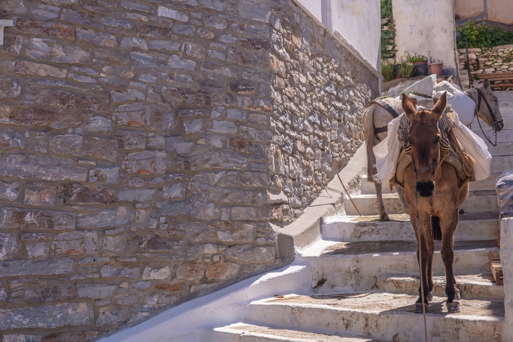 Kea Island Greece Guide - The Closest Island To Athens | Chasing the Donkey