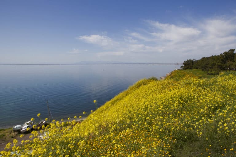 Best Beaches In Thessaloniki, Greece | Chasing the Donkey
