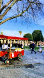 Your Guide To Sultanahmet Istanbul, Turkey | Chasing the Donkey