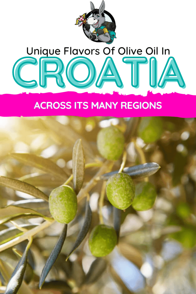 Flavors Of Croatian Olive Oil Across Its Regions | Chasing the Donkey