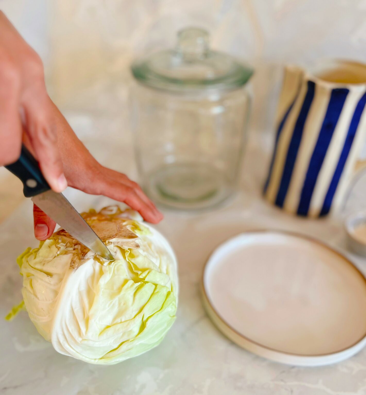 How To Make A Sour Cabbage In 6 Steps | Chasing the Donkey
