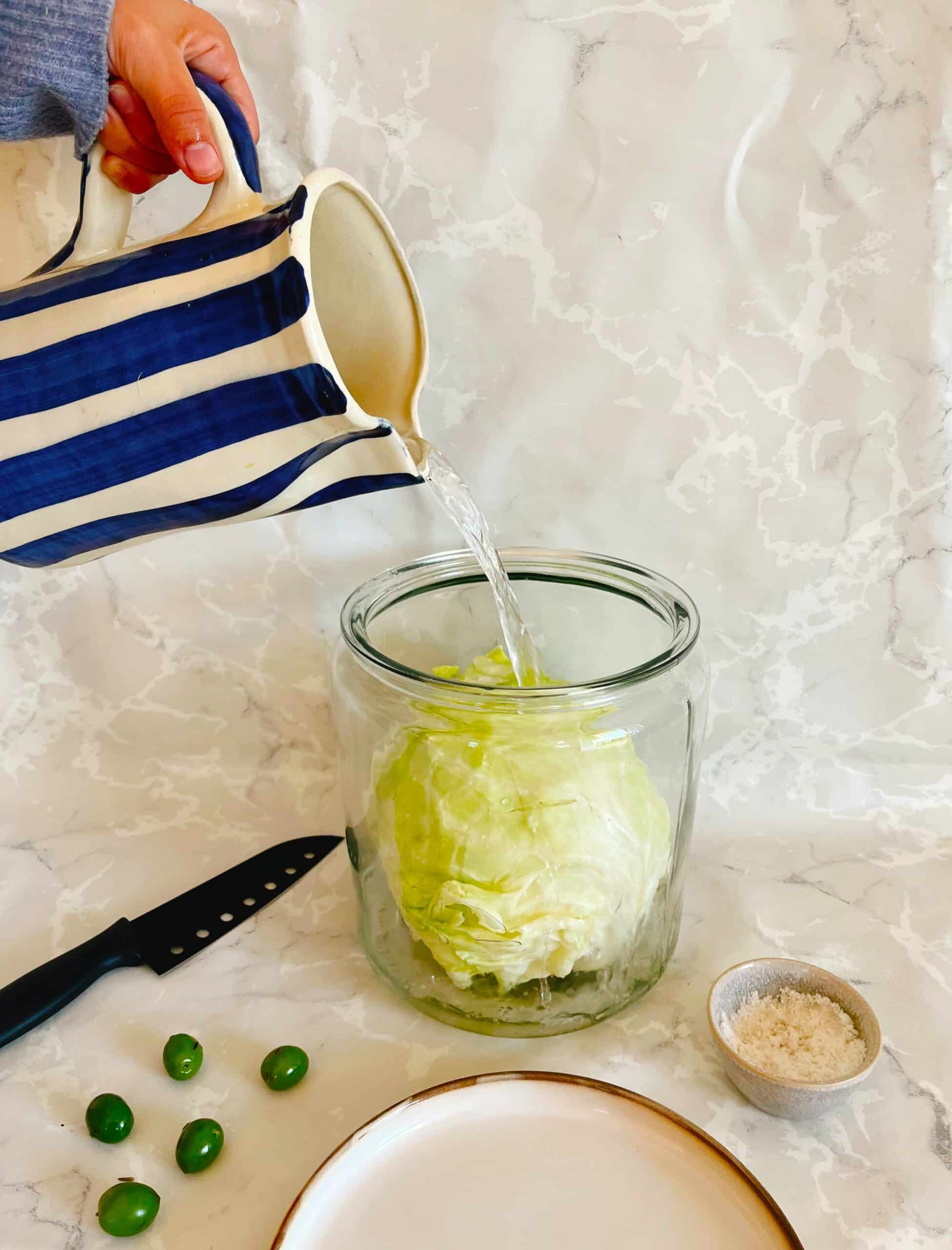 How To Make A Sour Cabbage In 6 Steps | Chasing the Donkey