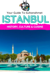 Your Guide To Sultanahmet Istanbul, Turkey | Chasing the Donkey