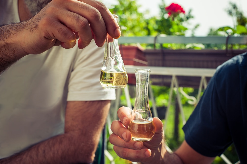 From Slivovitz To Travarica: Different Flavors Of Croatian Rakija