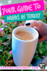 What Turkish Drinks To Try While In Türkiye | Chasing the Donkey