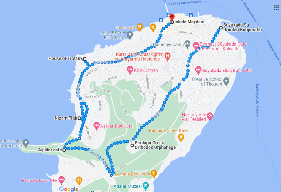 Day Trip To The Island Of Büyükada, Istanbul | Chasing the Donkey